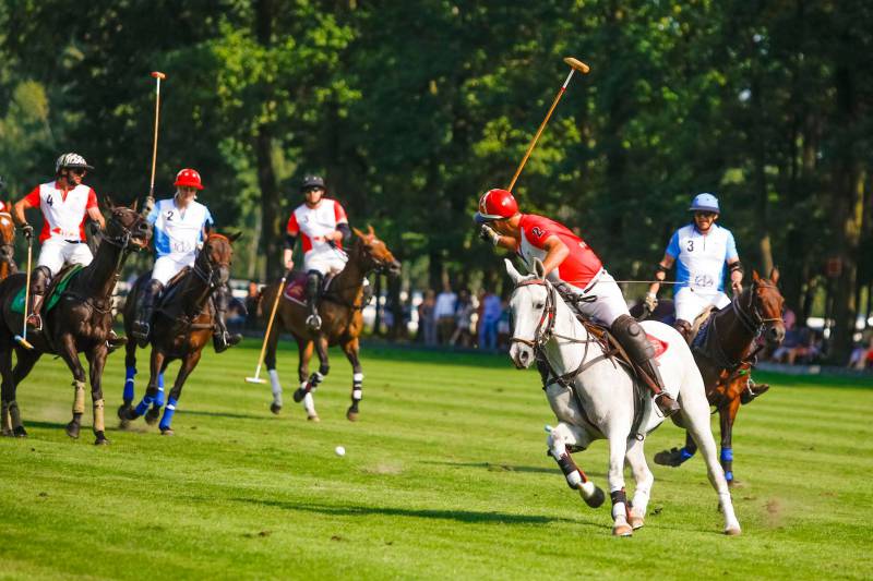 President of the Monte-Carlo Polo Federation About Monegasque Club