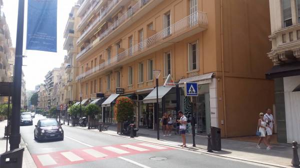 Education in Monaco: Monaco High Schools and Colleagues