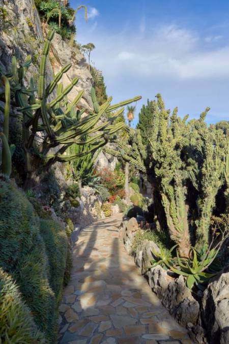 The Most Beautiful Monaco Gardens You Shouldn't Miss
