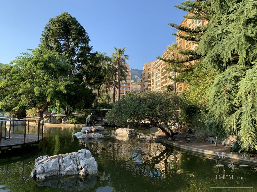 Princess Grace Kelly's Passion for Roses and Orchids