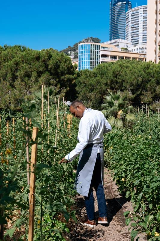 Words of Wisdom in Monaco with Marcel Ravin
