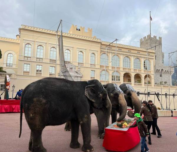 Princely Family attends the Circus Show in front of the Palace