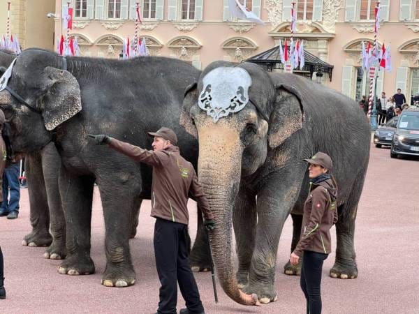 Princely Family attends the Circus Show in front of the Palace