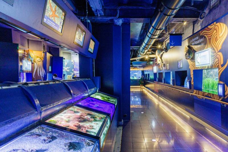 The Oceanographic Museum of Monaco: Temple of the Sea